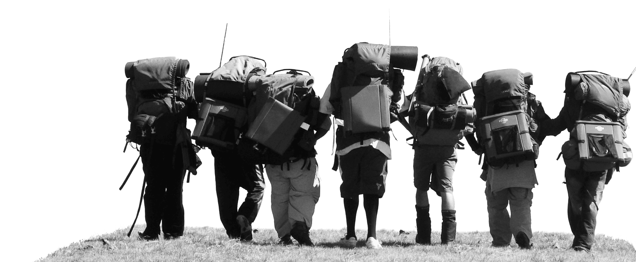 Our Programs | Elevate Tampa Bay